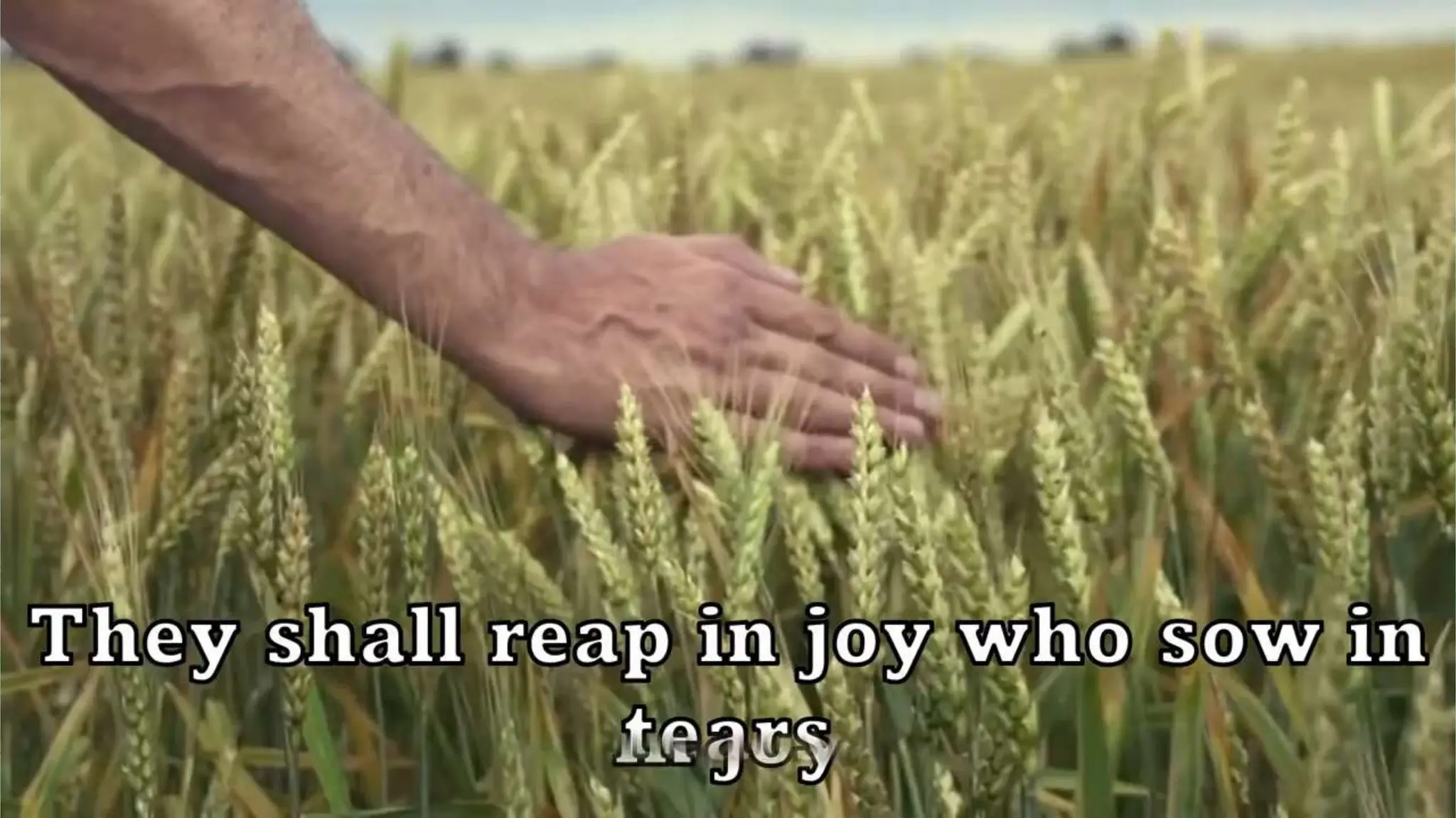 grade_7-8.pptxaedvWQERT3R4 EWR R EWRTQV GW | PPTX