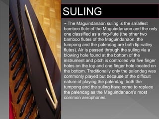 Muslim Mindanao Instruments | PPTX