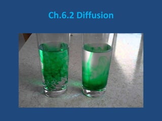 Grade 7 diffusion PPT | PPTX