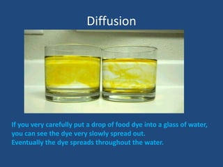 Grade 7 diffusion PPT | PPTX