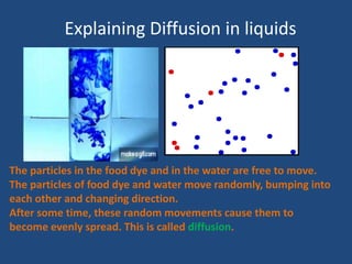 Grade 7 diffusion PPT | PPTX