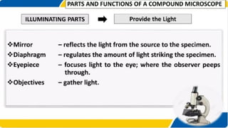 GRADE7-MICROSCOPE.pptx hchdujdiririeieirkri | PPTX