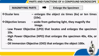 GRADE7-MICROSCOPE.pptx hchdujdiririeieirkri | PPTX
