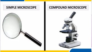 GRADE7-MICROSCOPE.pptx hchdujdiririeieirkri | PPT