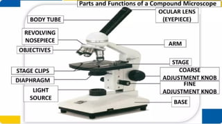 GRADE7-MICROSCOPE.pptx hchdujdiririeieirkri | PPT