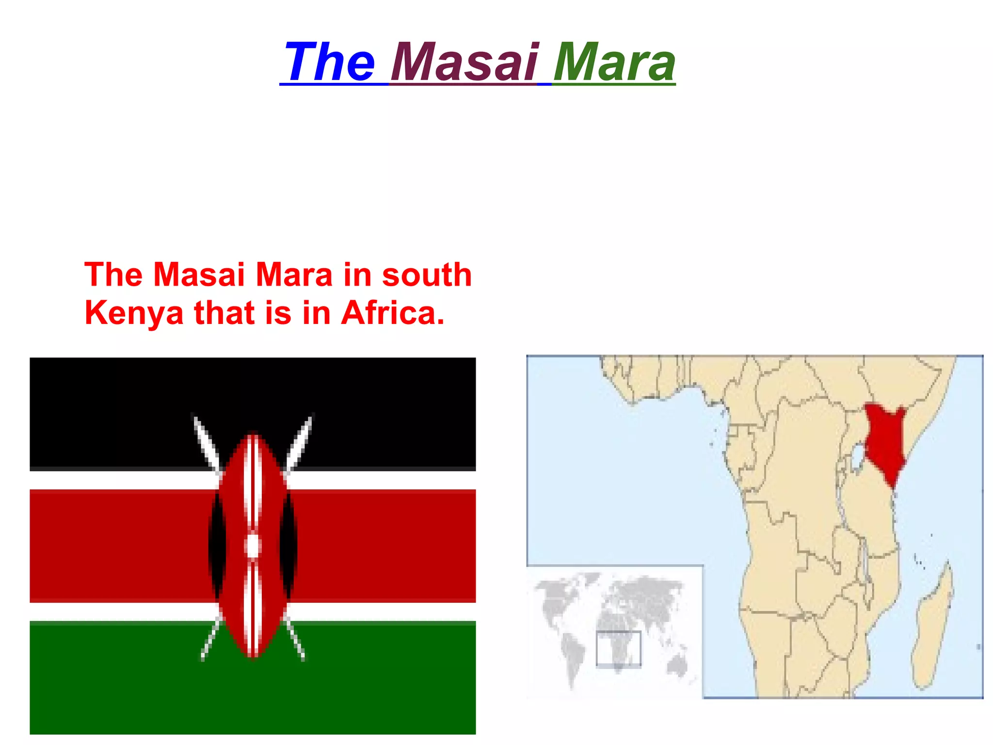 Grade 7#4 masai mara | PPT