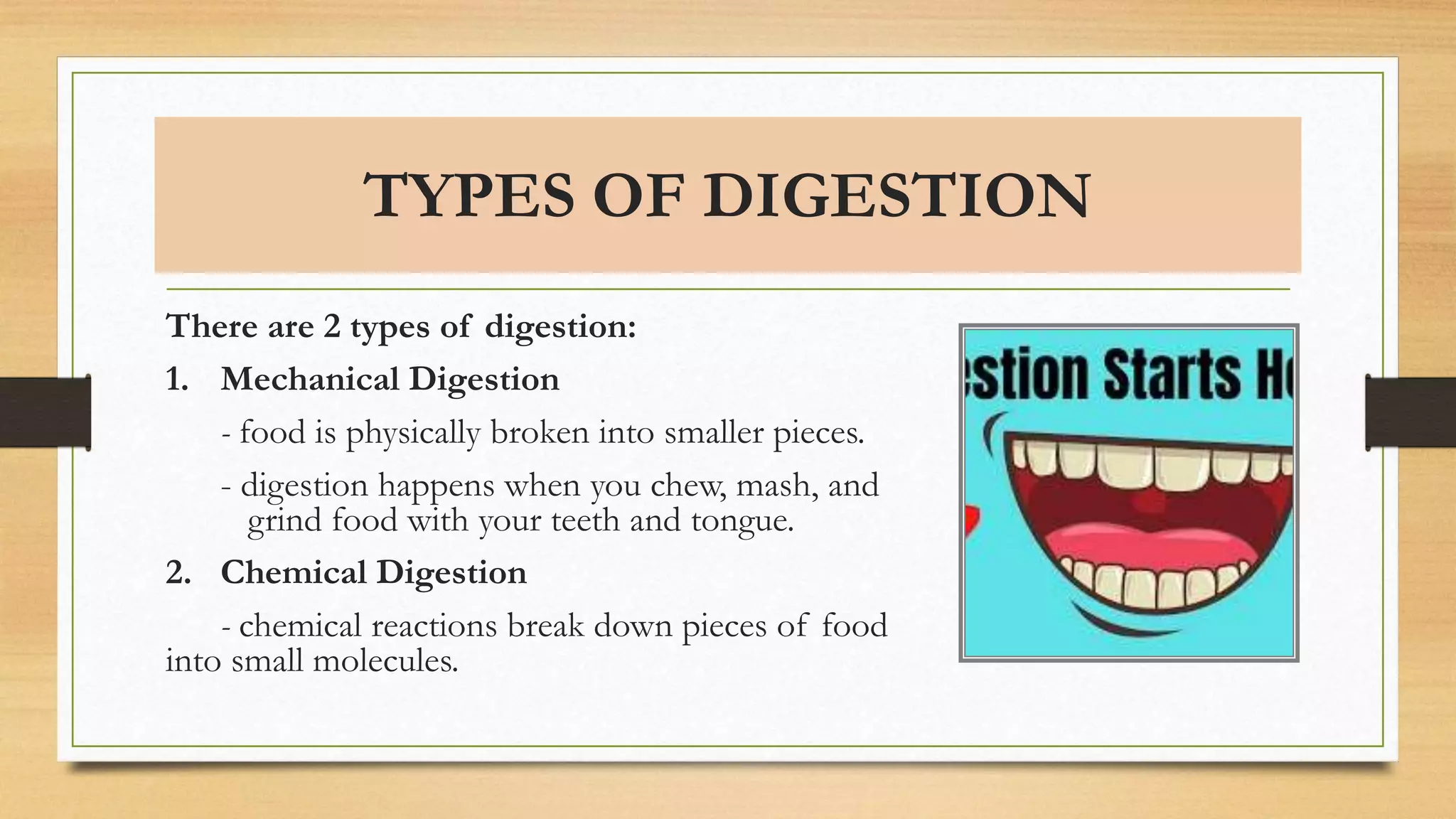 Grade 7 chapter1 lesson1 - the digestive system | PPTX