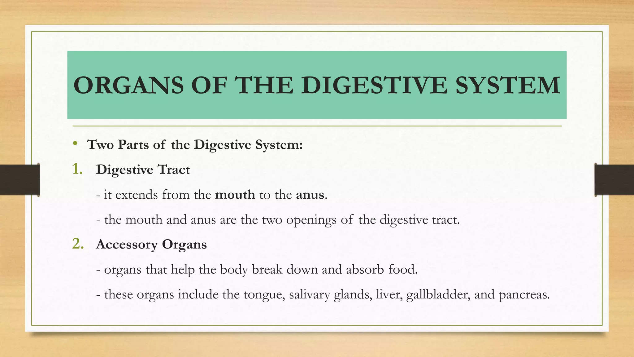 Grade 7 chapter1 lesson1 - the digestive system | PPTX