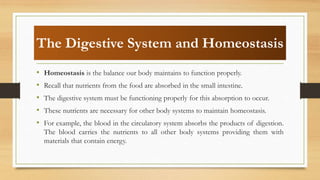 Grade 7 chapter1 lesson1 - the digestive system | PPTX
