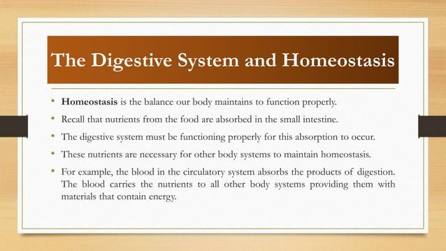 Grade 7 chapter1 lesson1 - the digestive system | PPTX | Digestive ...