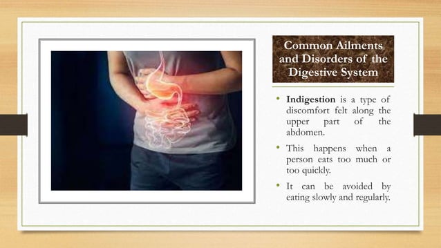 Grade 7 chapter1 lesson1 - the digestive system | PPTX | Digestive ...