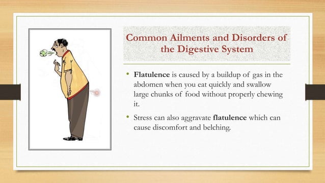 Grade 7 chapter1 lesson1 - the digestive system | PPTX | Digestive ...