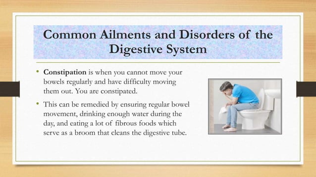 Grade 7 chapter1 lesson1 - the digestive system | PPTX | Digestive ...