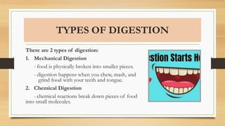 Grade 7 chapter1 lesson1 - the digestive system | PPTX