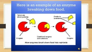 Grade 7 chapter1 lesson1 - the digestive system | PPTX