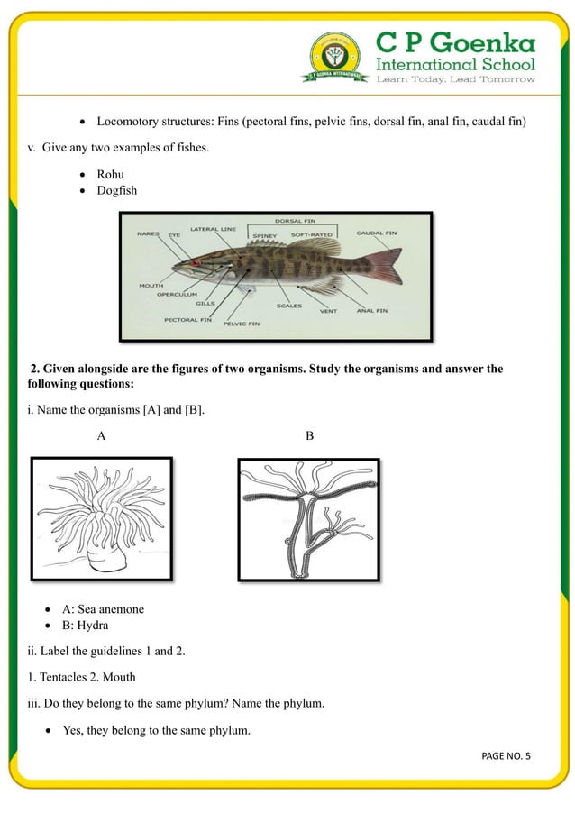 GRADE_7_CLASSIFICATION_OF_ANIMALS_copy.pdf | Biological Sciences | Science