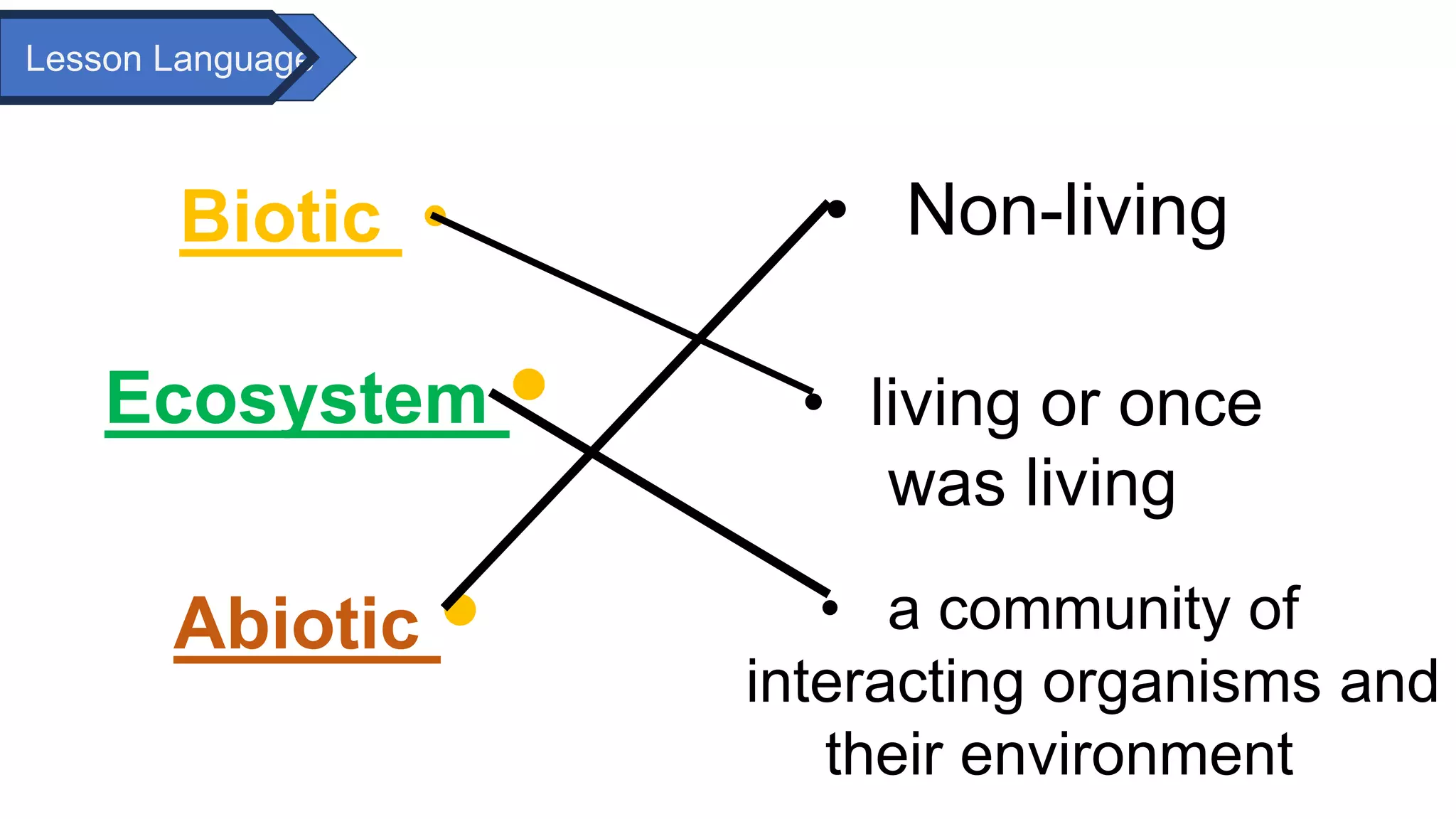 Grade 7_Consolidation7_BioticadnAbiotic.pptx