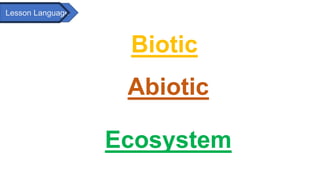 Grade 7_Consolidation7_BioticadnAbiotic.pptx