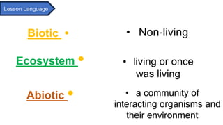 Grade 7_Consolidation7_BioticadnAbiotic.pptx