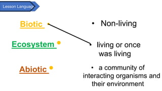 Grade 7_Consolidation7_BioticadnAbiotic.pptx