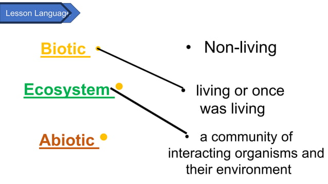 Grade 7_Consolidation7_BioticadnAbiotic.pptx