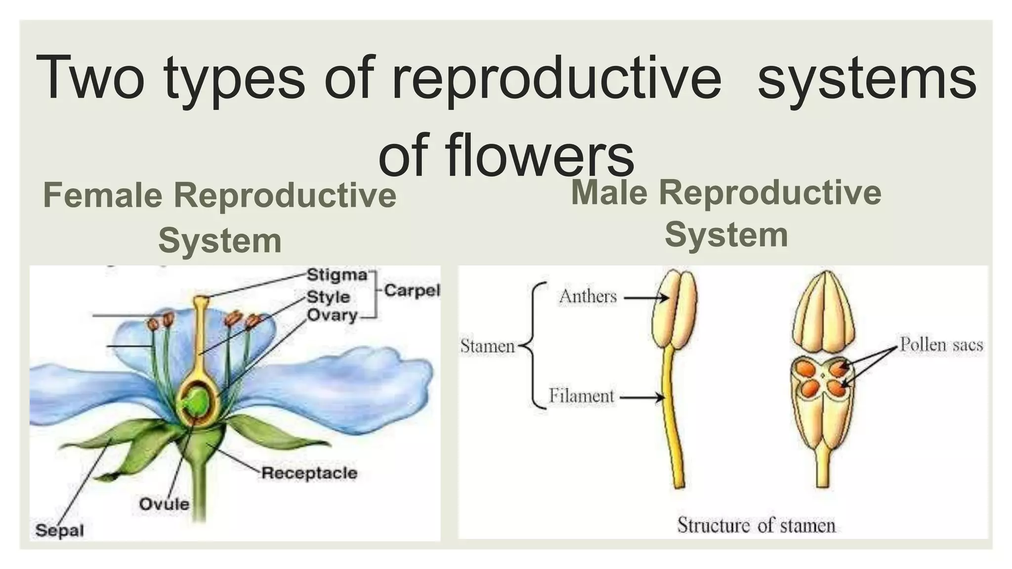 Grade 7 L 11 Reproduction in plants.pdf
