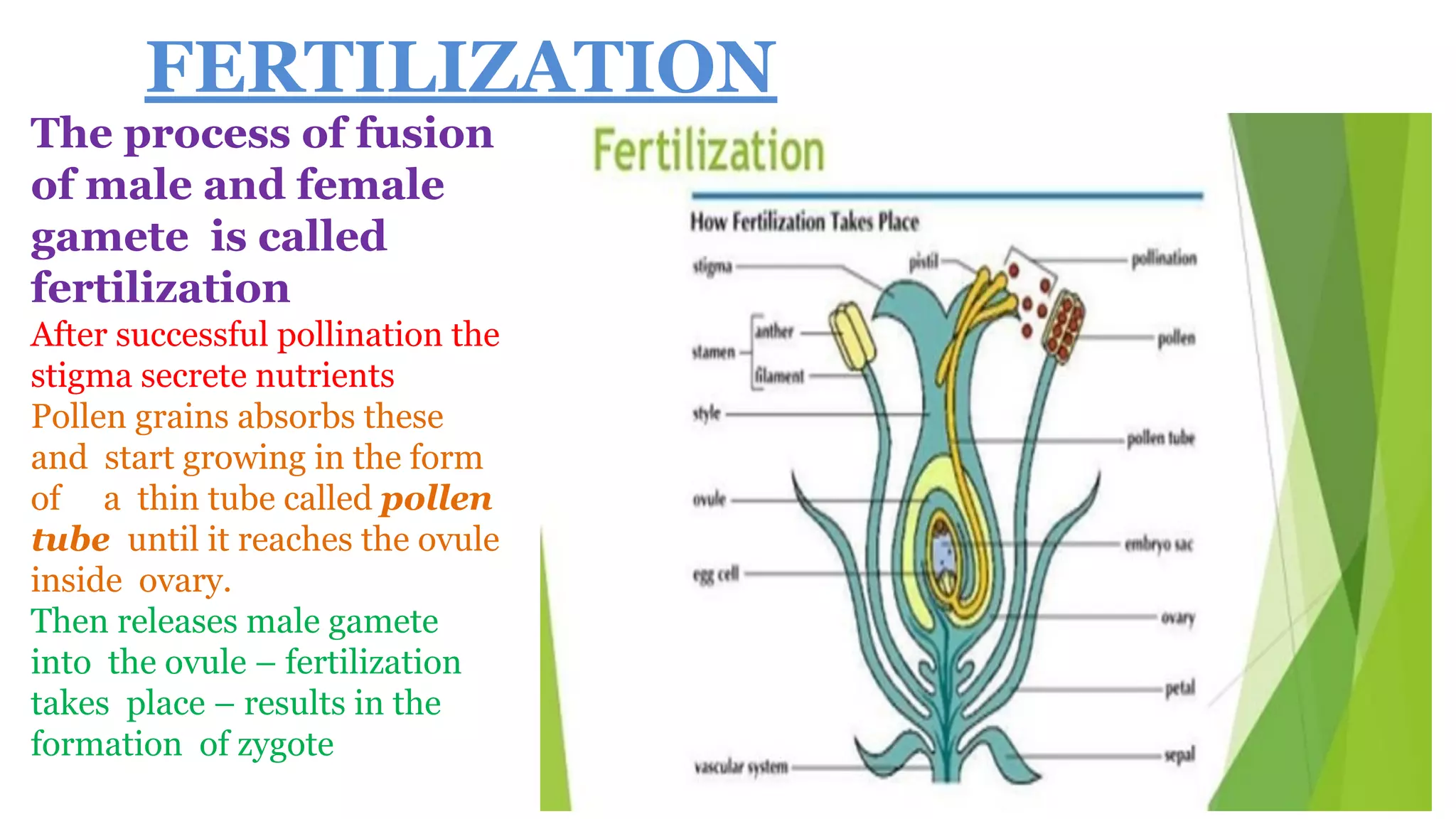 Grade 7 L 11 Reproduction in plants.pdf