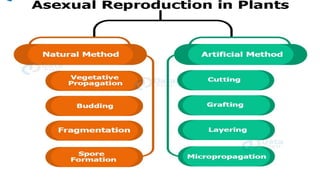 Grade 7 L 11 Reproduction in plants.pdf