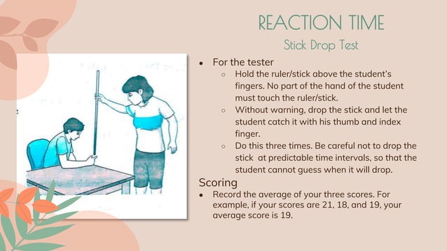 PE 7 | Lesson 2: PHYSICAL FITNESS TEST AND ASSESSMENT | PPTX ...