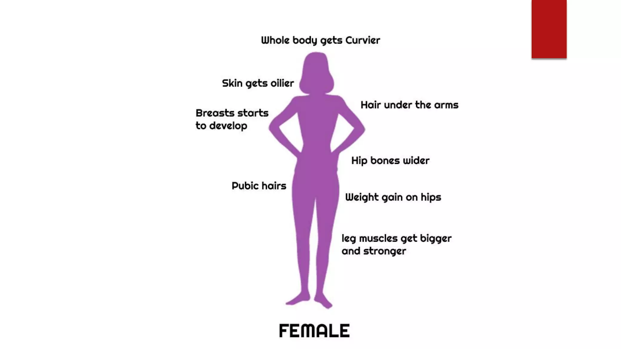 Grade 7 Life Orientation PowerPoint presentation on Puberty. | PPTX