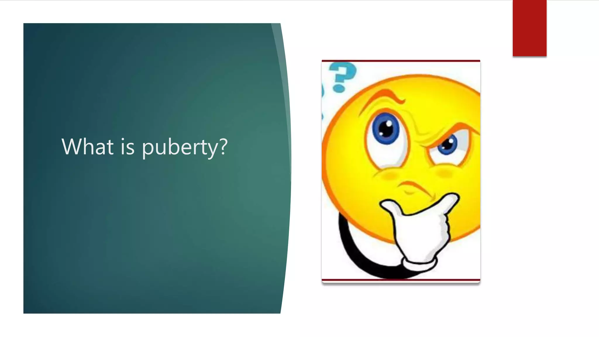 Grade 7 Life Orientation PowerPoint presentation on Puberty. | PPTX