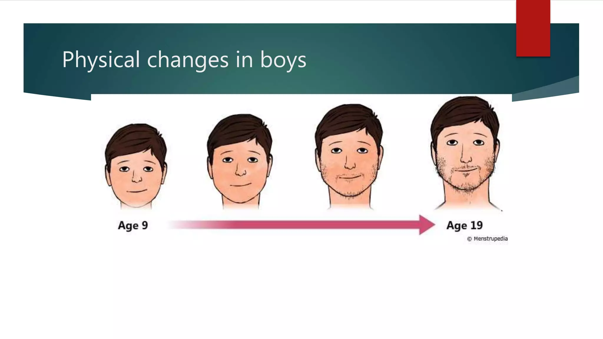 Grade 7 Life Orientation PowerPoint presentation on Puberty. | PPTX