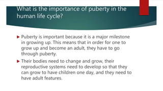 Grade 7 Life Orientation PowerPoint presentation on Puberty. | PPTX