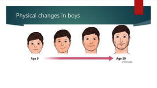 Grade 7 Life Orientation PowerPoint presentation on Puberty. | PPTX