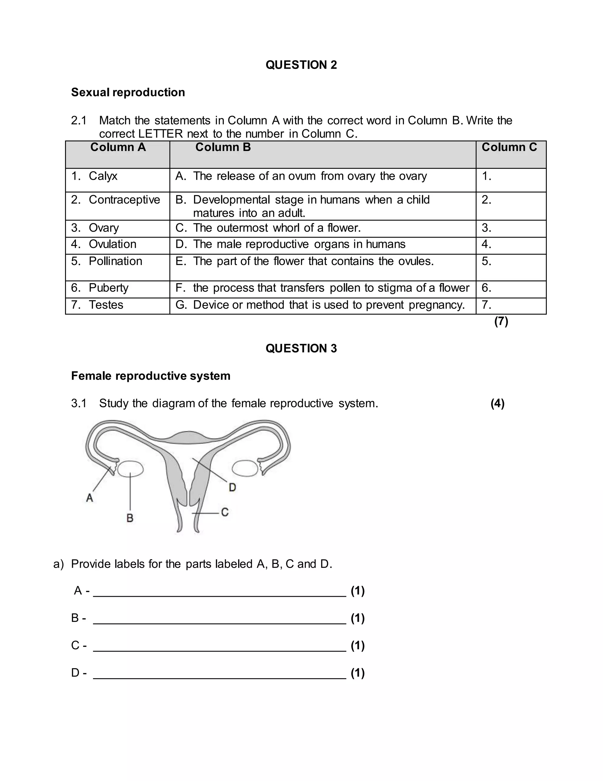 Grade 7 ns exam | DOCX