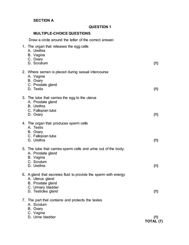 Grade 7 ns exam | PDF