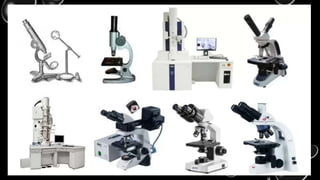 Grade 7-Science Module 1- General Biology | PPTX