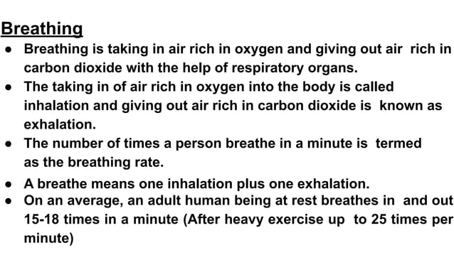 Grade 7 Respiration in organisms.pdf
