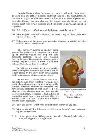 Grade7 Science Learner's Material Quarters1-2 | PDF
