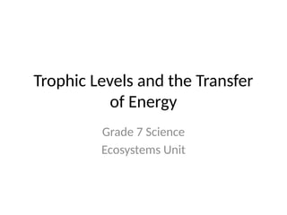 Understanding Trophic Levels and Energy Transfer in Ecosystems for ...