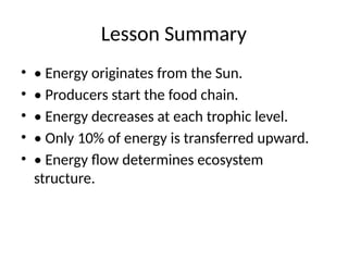 Understanding Trophic Levels and Energy Transfer in Ecosystems for ...
