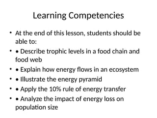 Understanding Trophic Levels and Energy Transfer in Ecosystems for ...