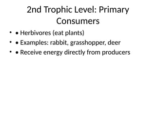 Understanding Trophic Levels and Energy Transfer in Ecosystems for ...