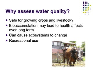 Grade 7 www pollution overview | PPT