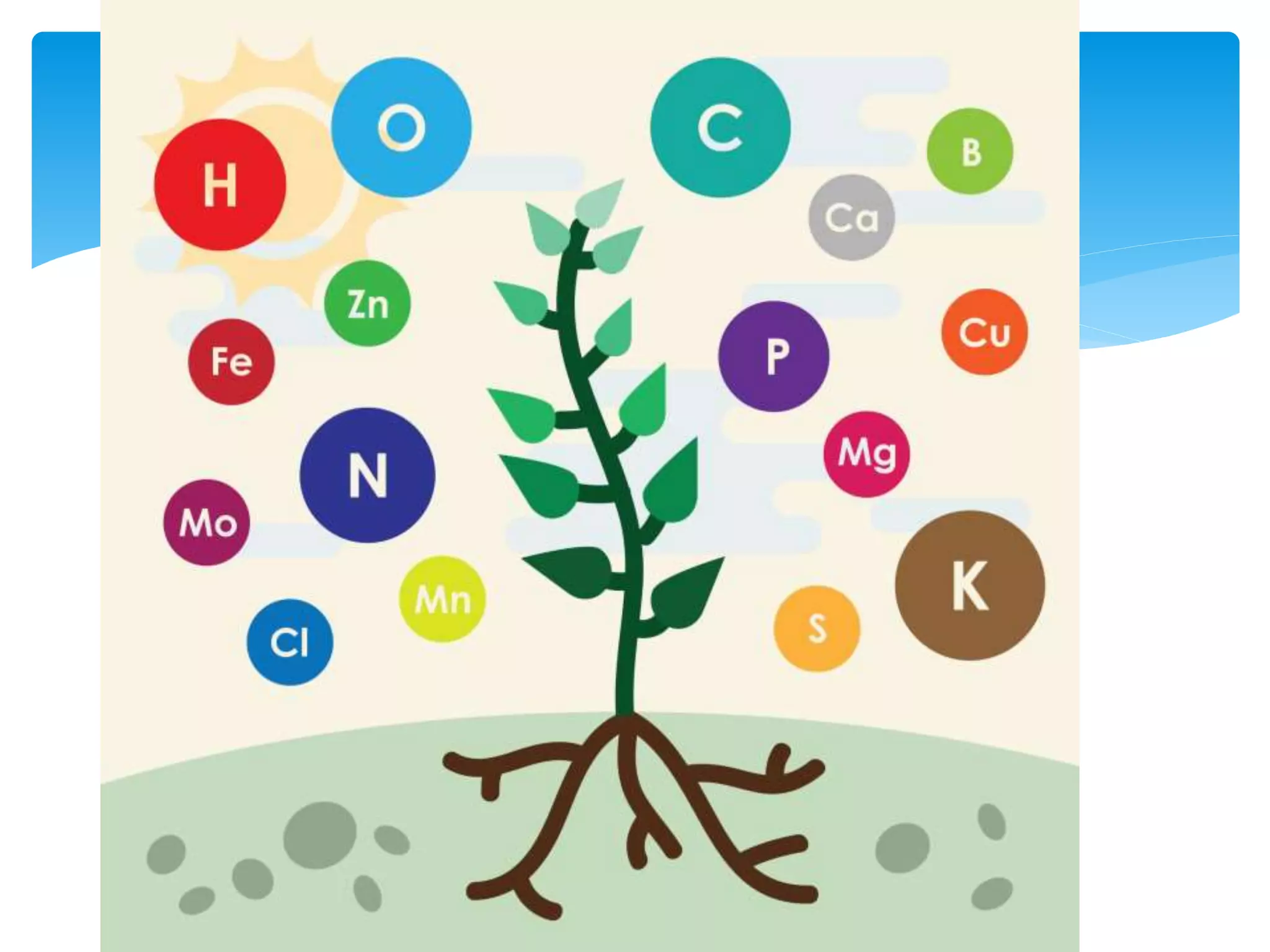 Perform Estimation and Calculation | PPTX