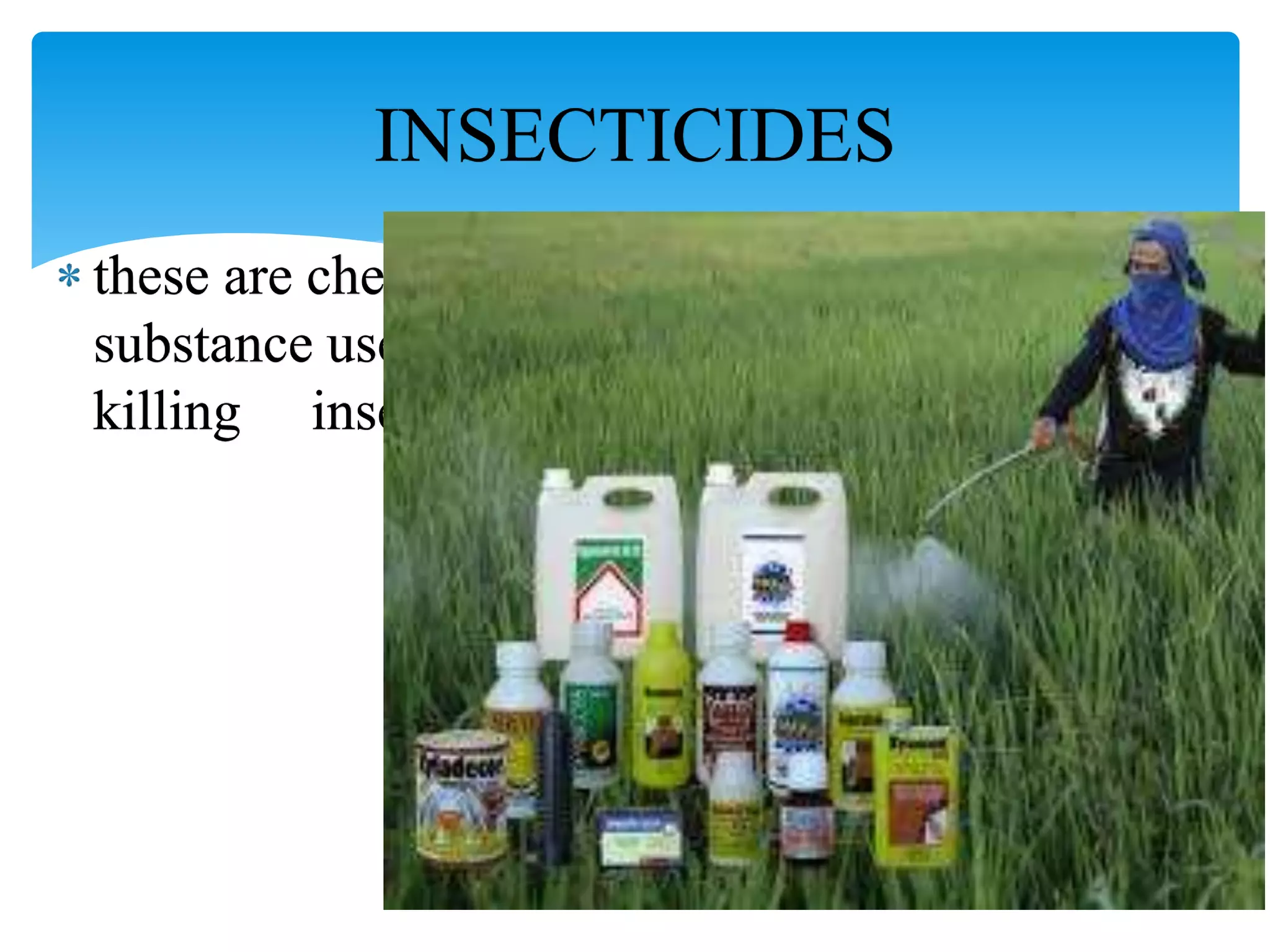 Perform Estimation and Calculation | PPTX