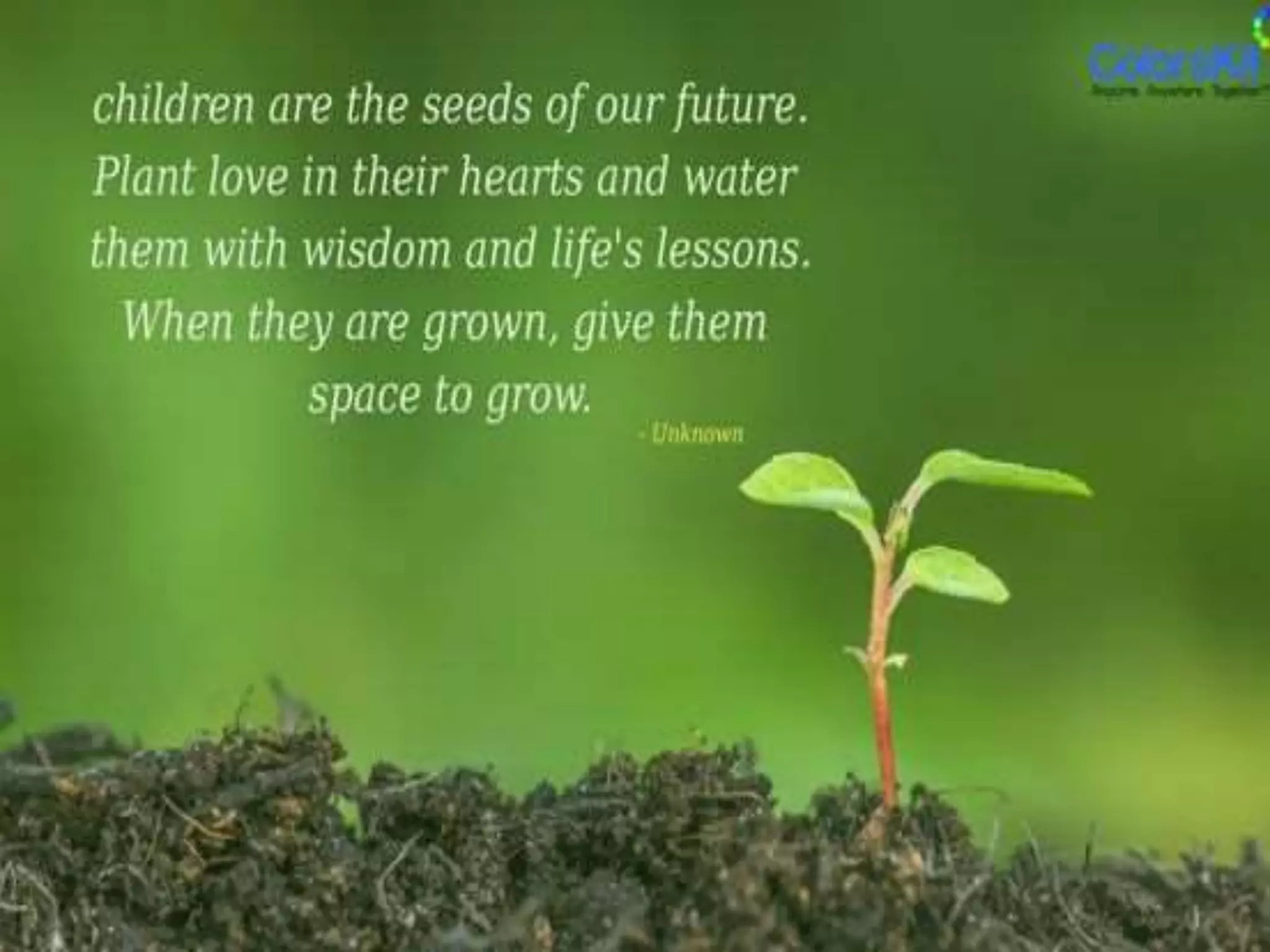 Perform Estimation and Calculation | PPTX