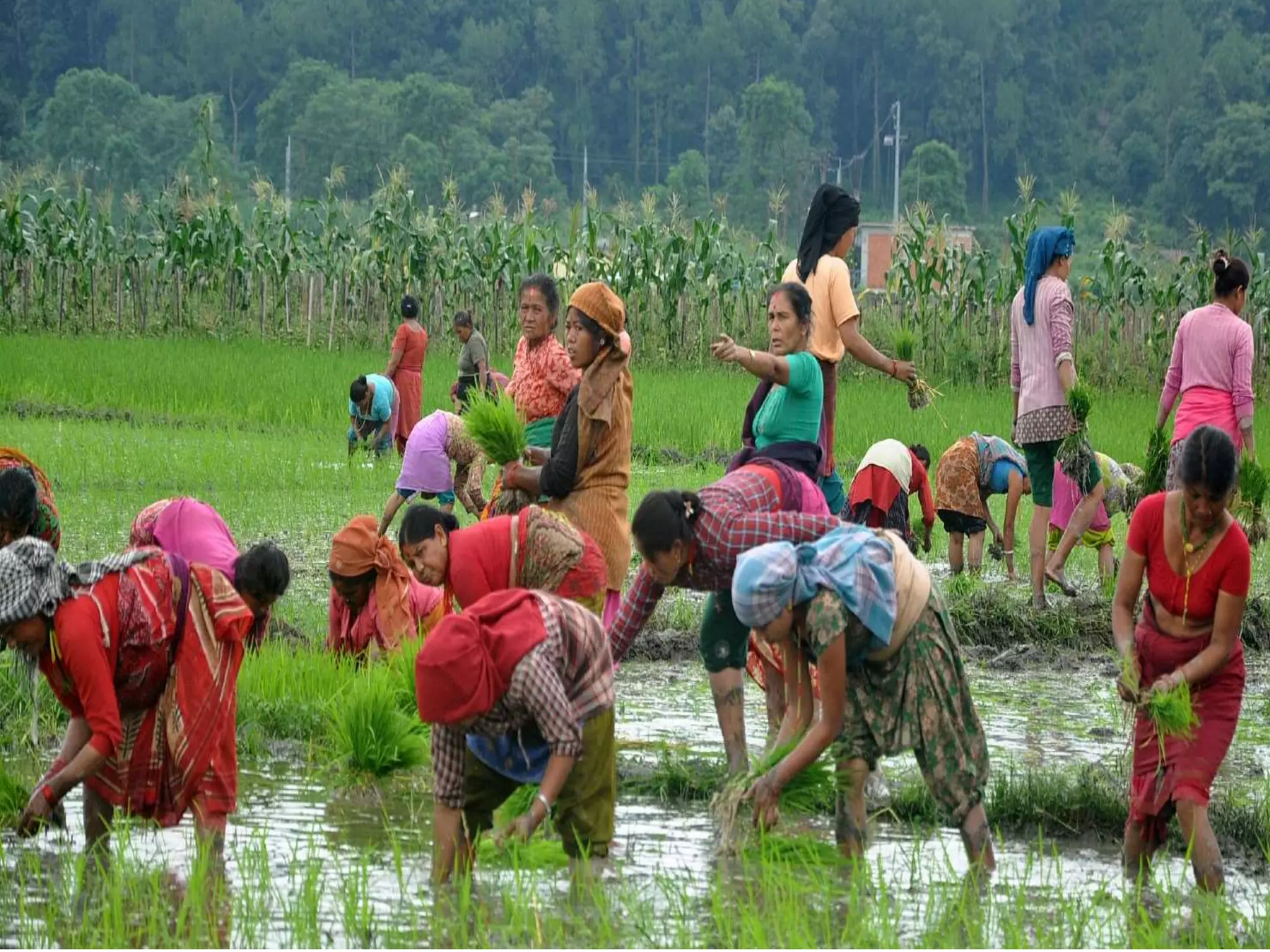 Perform Estimation and Calculation | PPTX