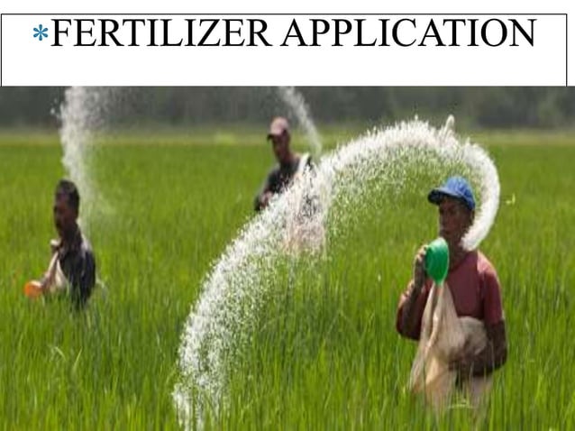 Perform Estimation and Calculation | PPTX