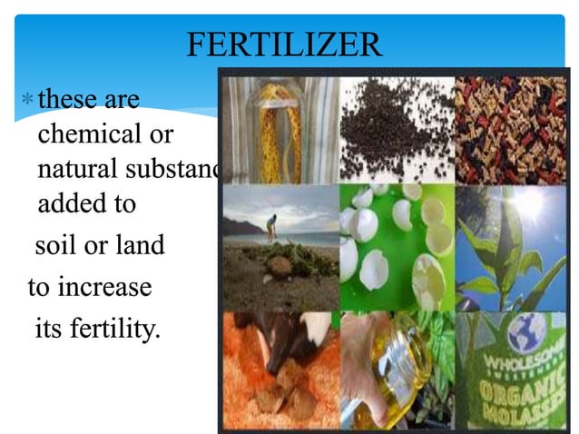 Perform Estimation and Calculation | PPTX